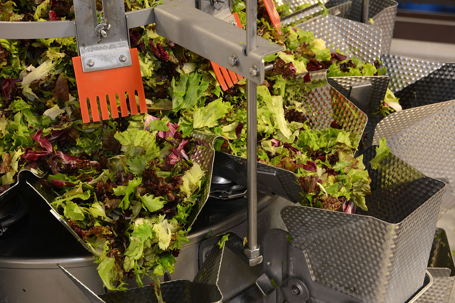 Weighing equipment can bring balance to the bottom line - Produce ...