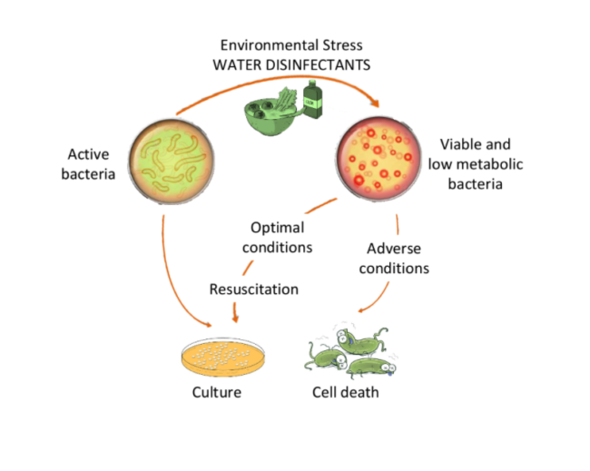 CPS graphic - Produce Processing