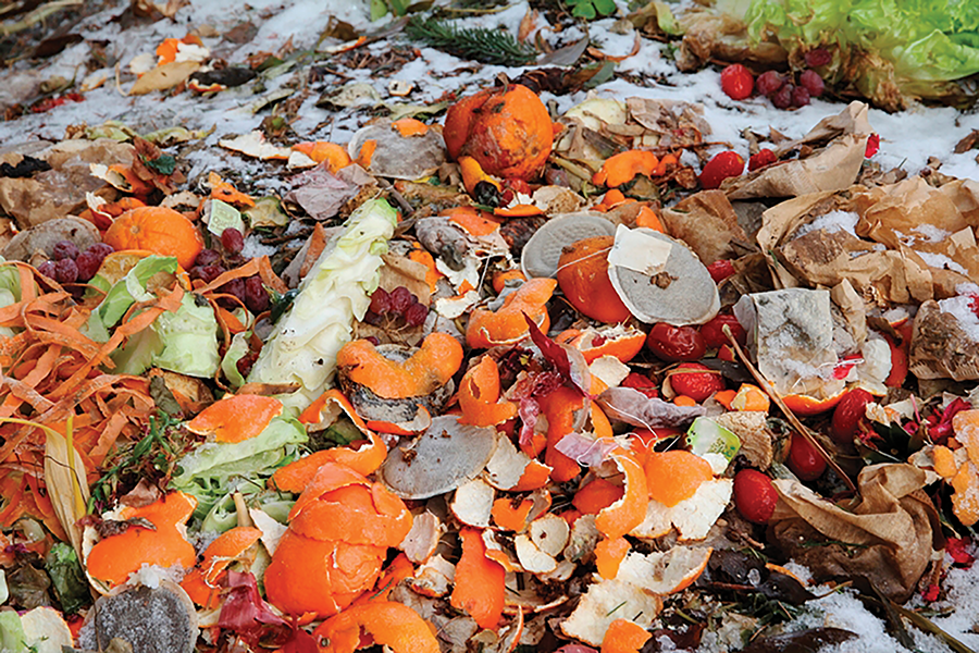 Tips to reduce food waste during processing - Produce Processing