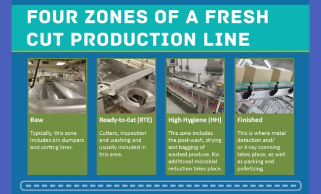 Four Zones Production Line - Produce Processing