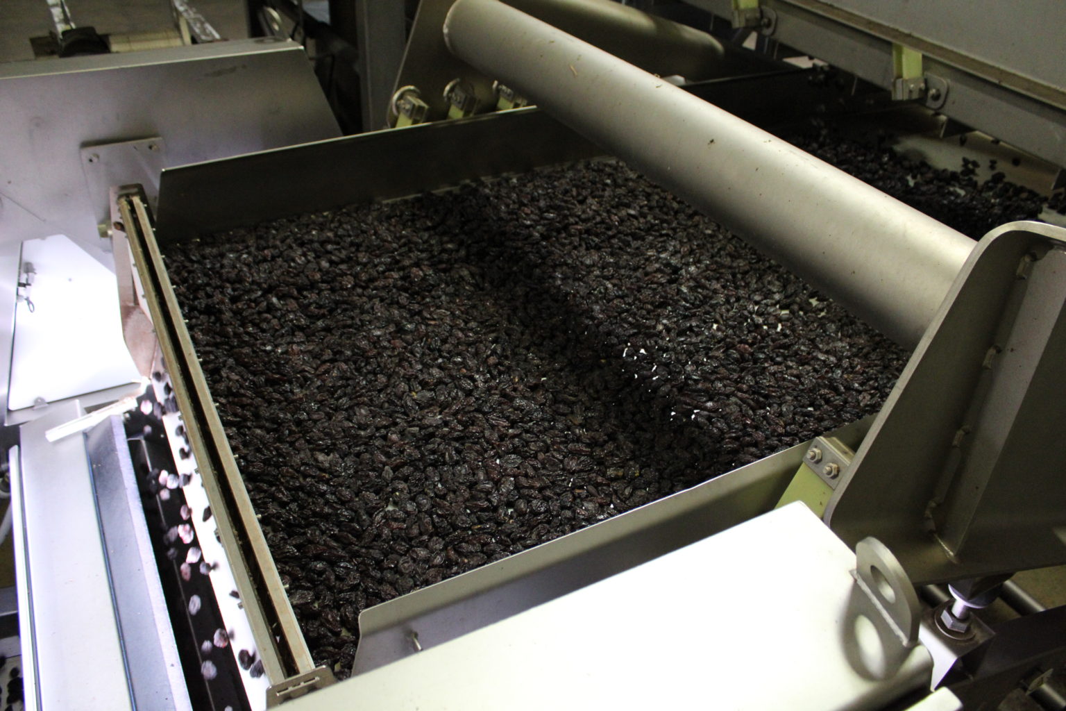 Advanced technology for prune sorting - Produce Processing