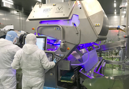 Key rolls out VERYX sorters for fresh-cut leafy greens - Produce Processing