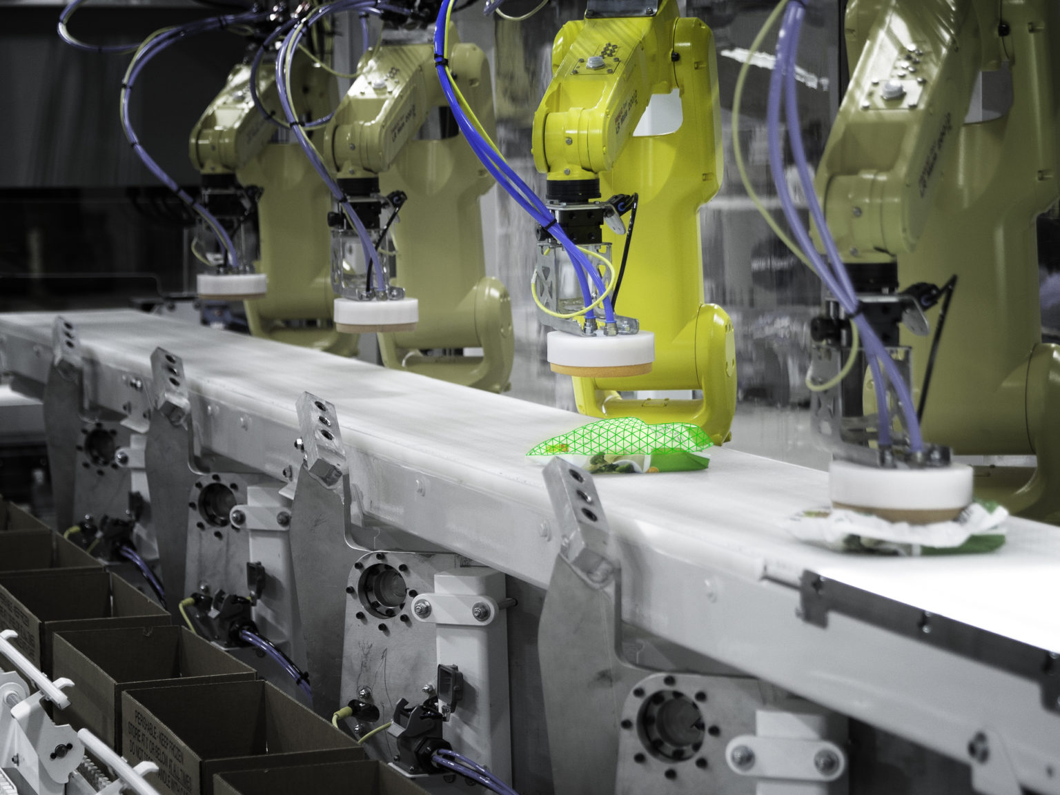 The new labor - Produce Processing