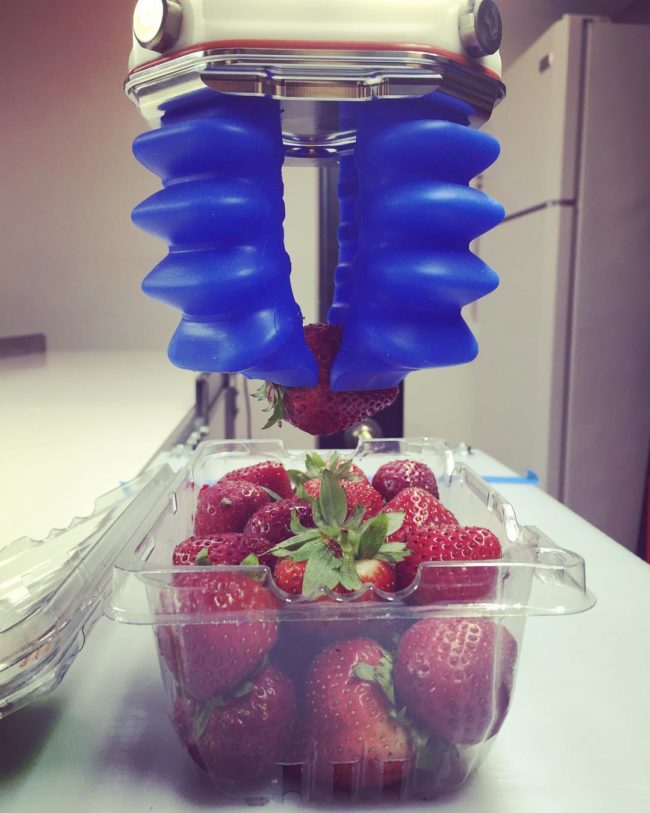 SoftRobotics_Strawberry - Produce Processing