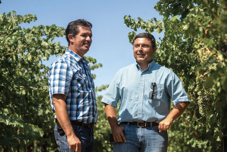 UC Davis, California wine grape grower experimenting with new methods ...