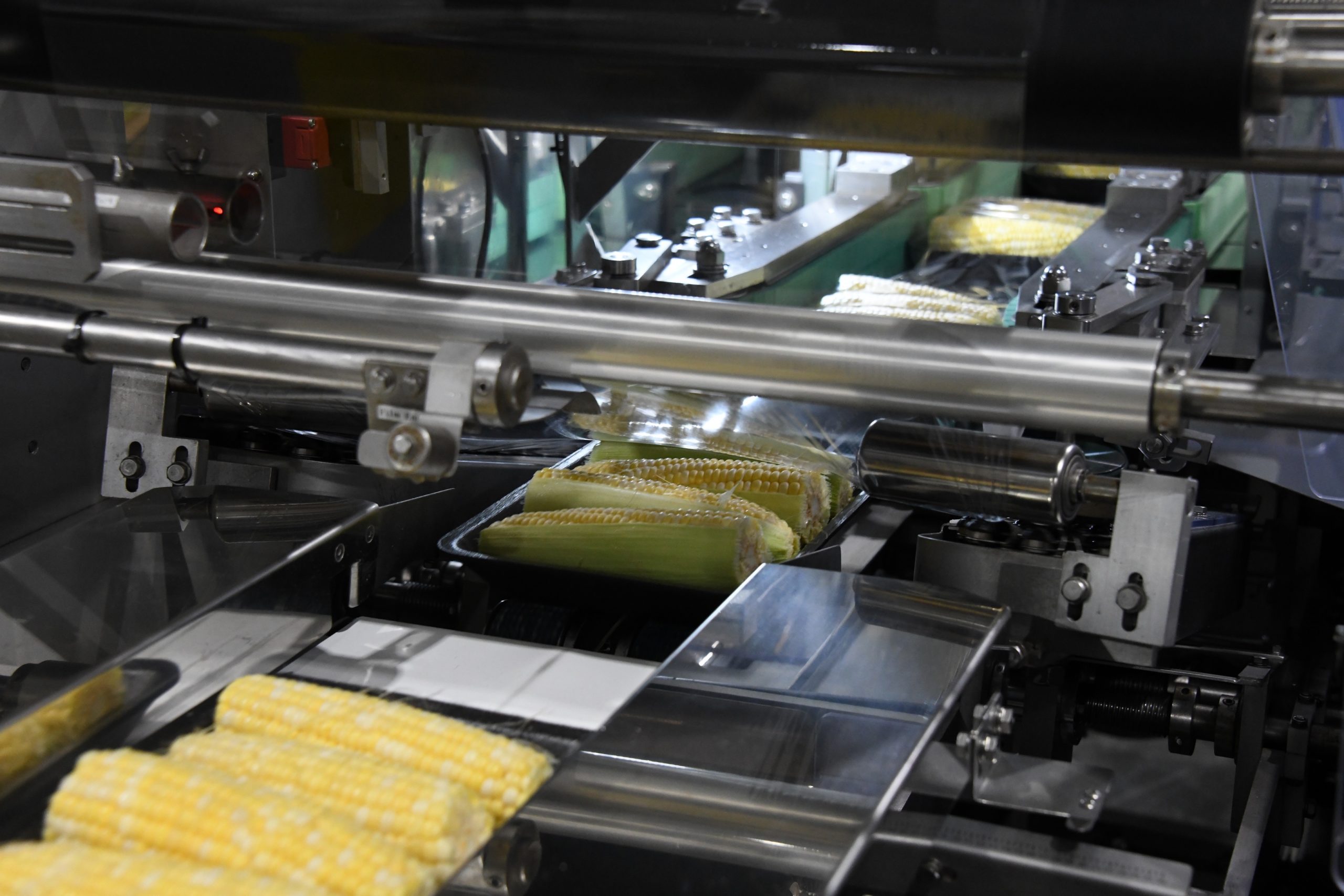 Virginia Produce Company utilizes high-speed wrappers to expand ...
