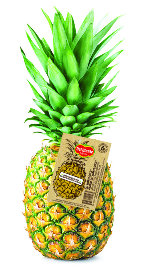 Del Monte highlights sustainability efforts through product labeling ...