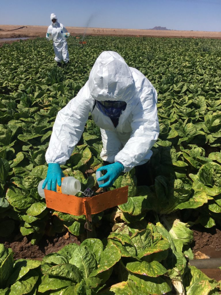3 produce safety research projects to watch in 2023 - Produce Processing