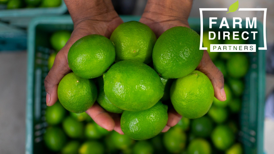 Lime importer names industry specialists to leadership roles - Produce ...