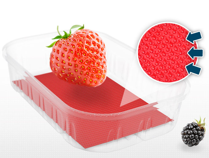 fruitpad - Produce Processing