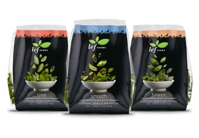 lēf-baby-greens-packaging - Produce Processing