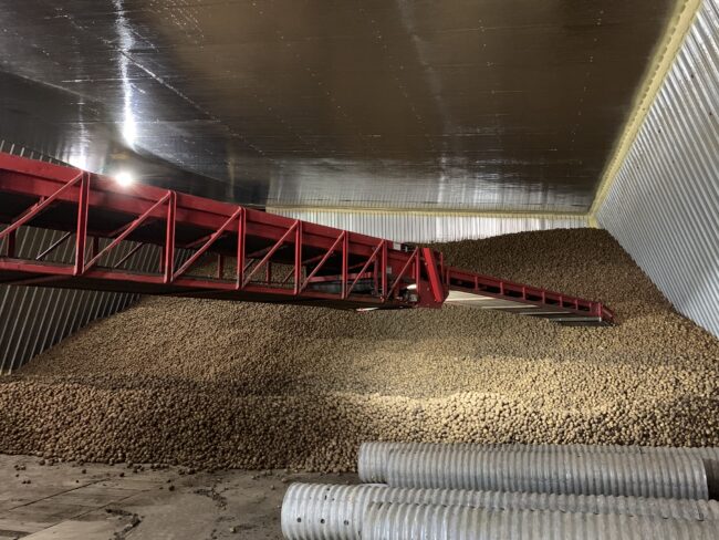 potato storage - Produce Processing