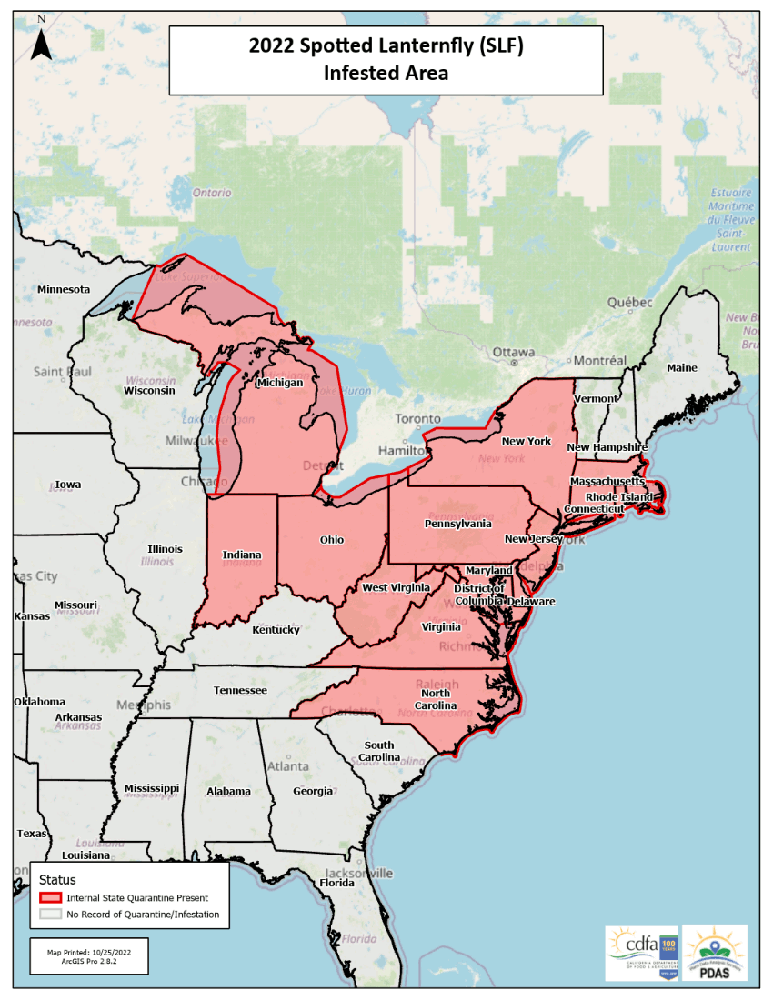 Michigan reminds shippers about spotted lanternflies - Produce Processing